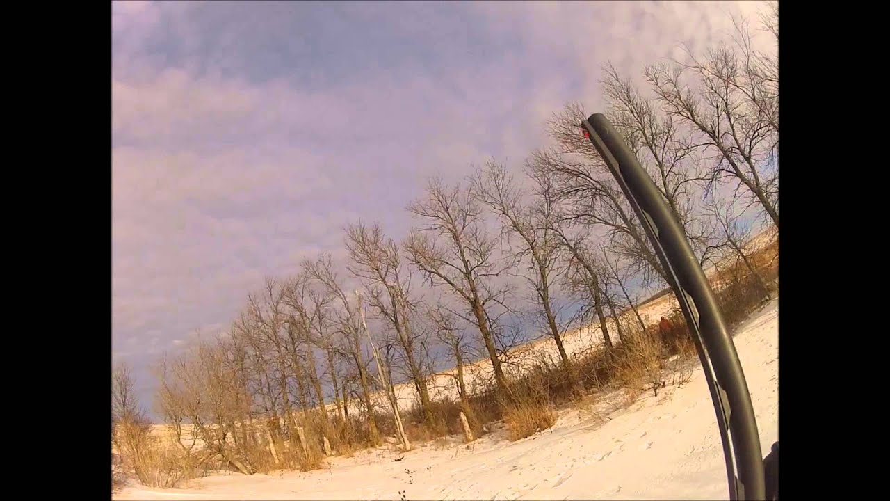 Prairie Sky South Dakota Pheasant Hunt - YouTube
