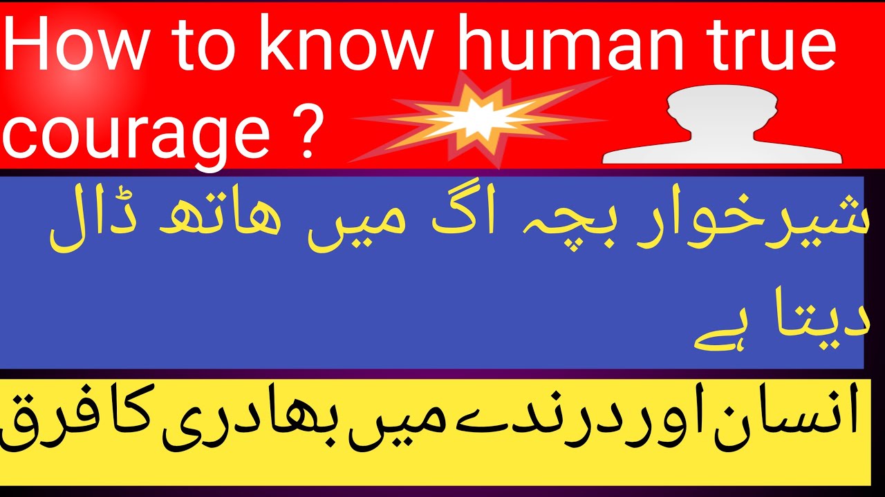What Is True Courage ? l How To Know True Courage?l Human And Animal ...