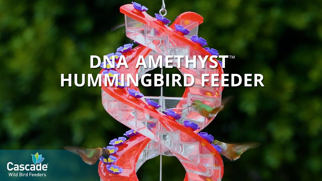 DNA Amethyst Hummingbird Feeders About - YouTube