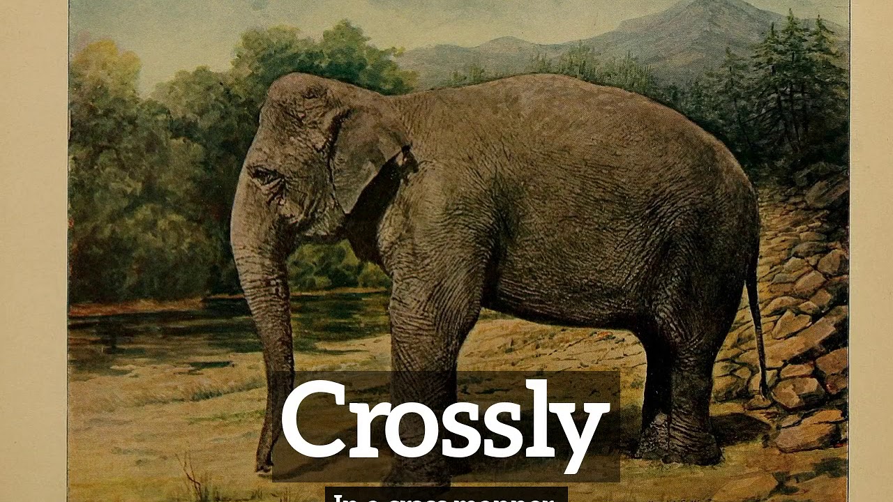 How Does Crossly Look? | What is Crossly? | How to Say Crossly in ...