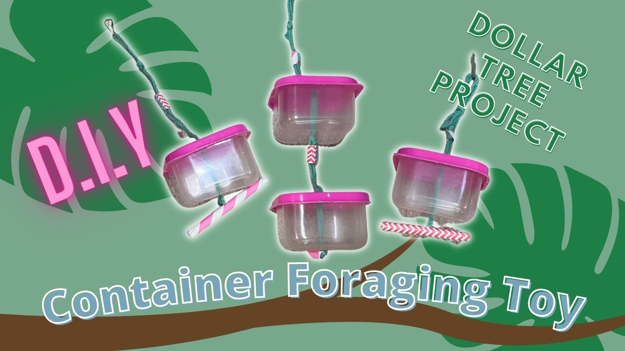 Container Foraging Toy |for pet rats| dollar tree DIY | - YouTube
