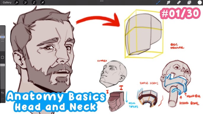 How To Basics Youtube Face