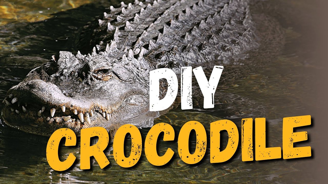 Make a Crocodile in Minutes! Fun Craft for Kids - YouTube