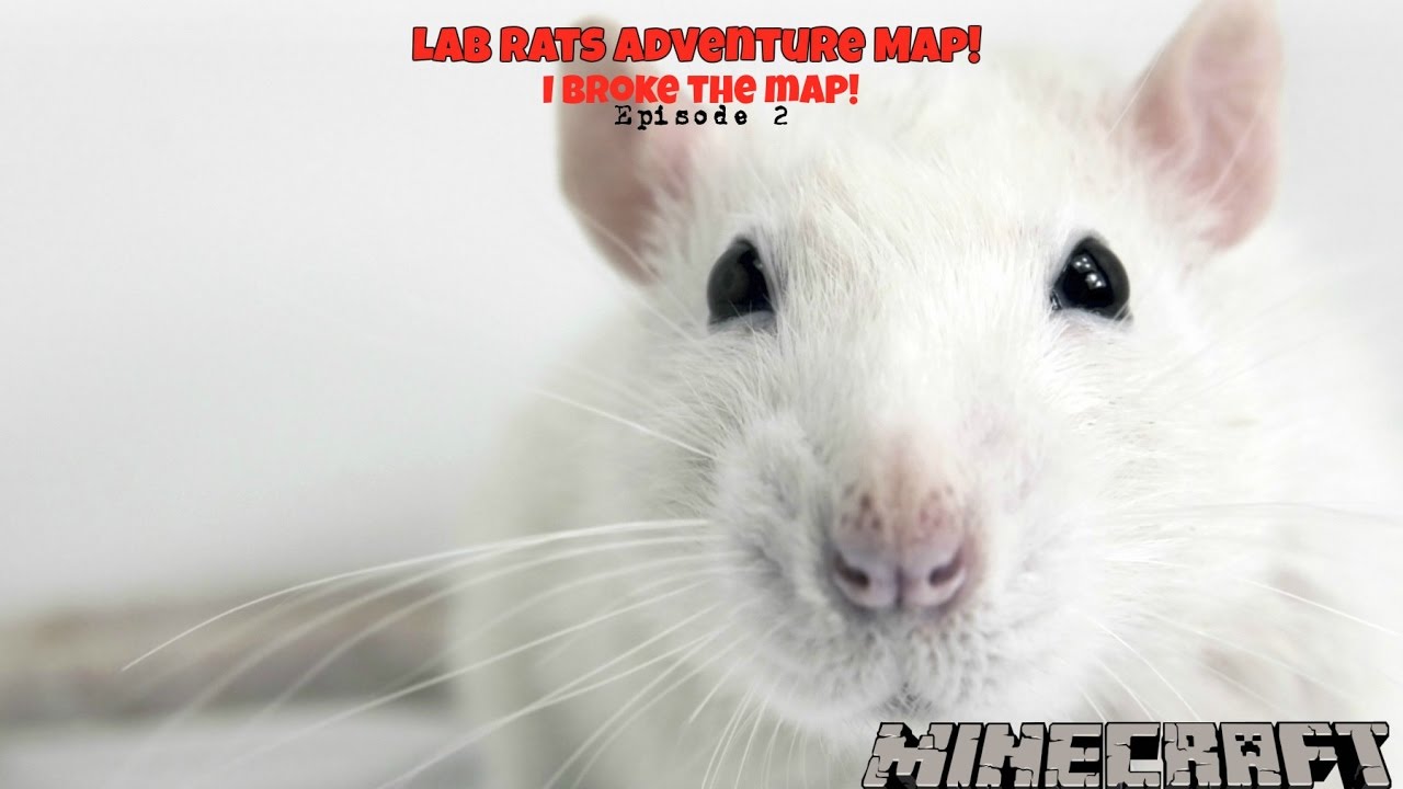Lets Play Minecraft! ~ Lab Rats Adventure Map Ep 2 ~ I BROKE THE MAP ...