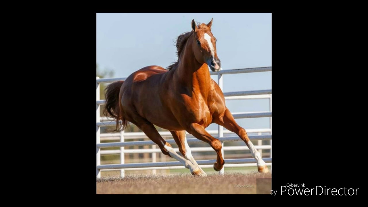 Apollitical Jess SI 107 - YouTube