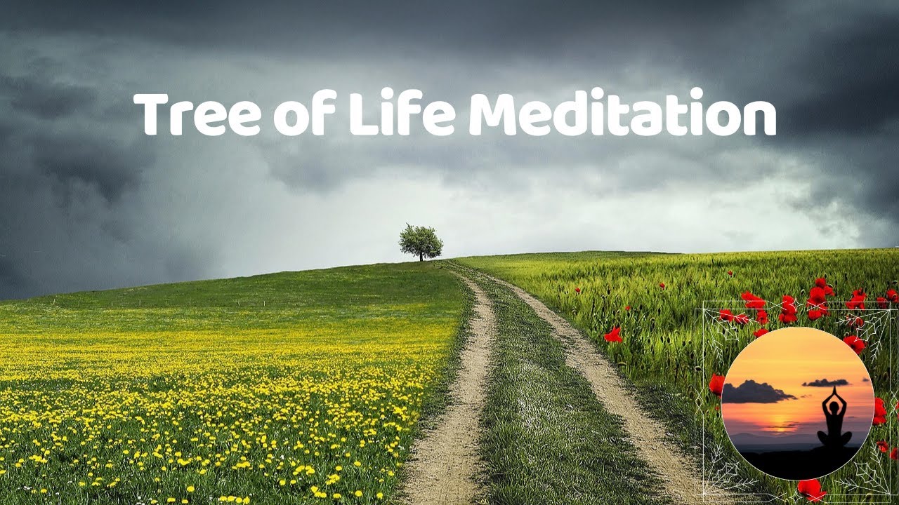 Tree of Life Meditation - YouTube