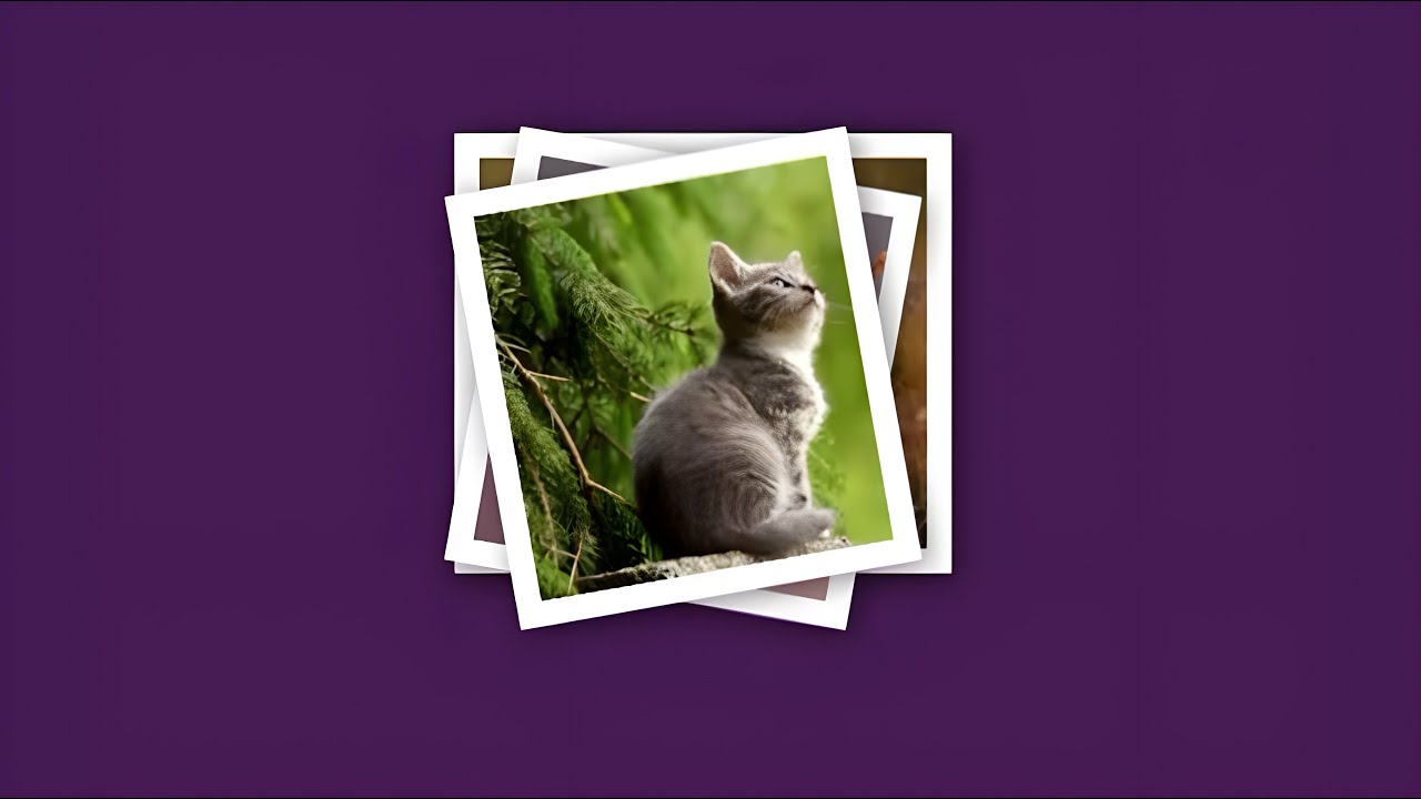 Styling Images | HTML & CSS | A Step-by-Step Tutorial - YouTube