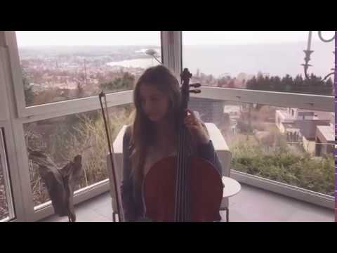 Sarah Wiesmann- Say Something (Cello) - YouTube