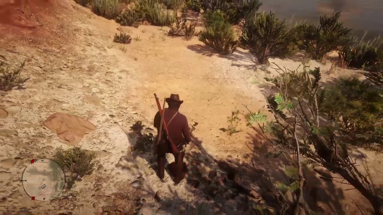 RDR2 - [End story spoiler] Sonoran Desert Toad location - YouTube