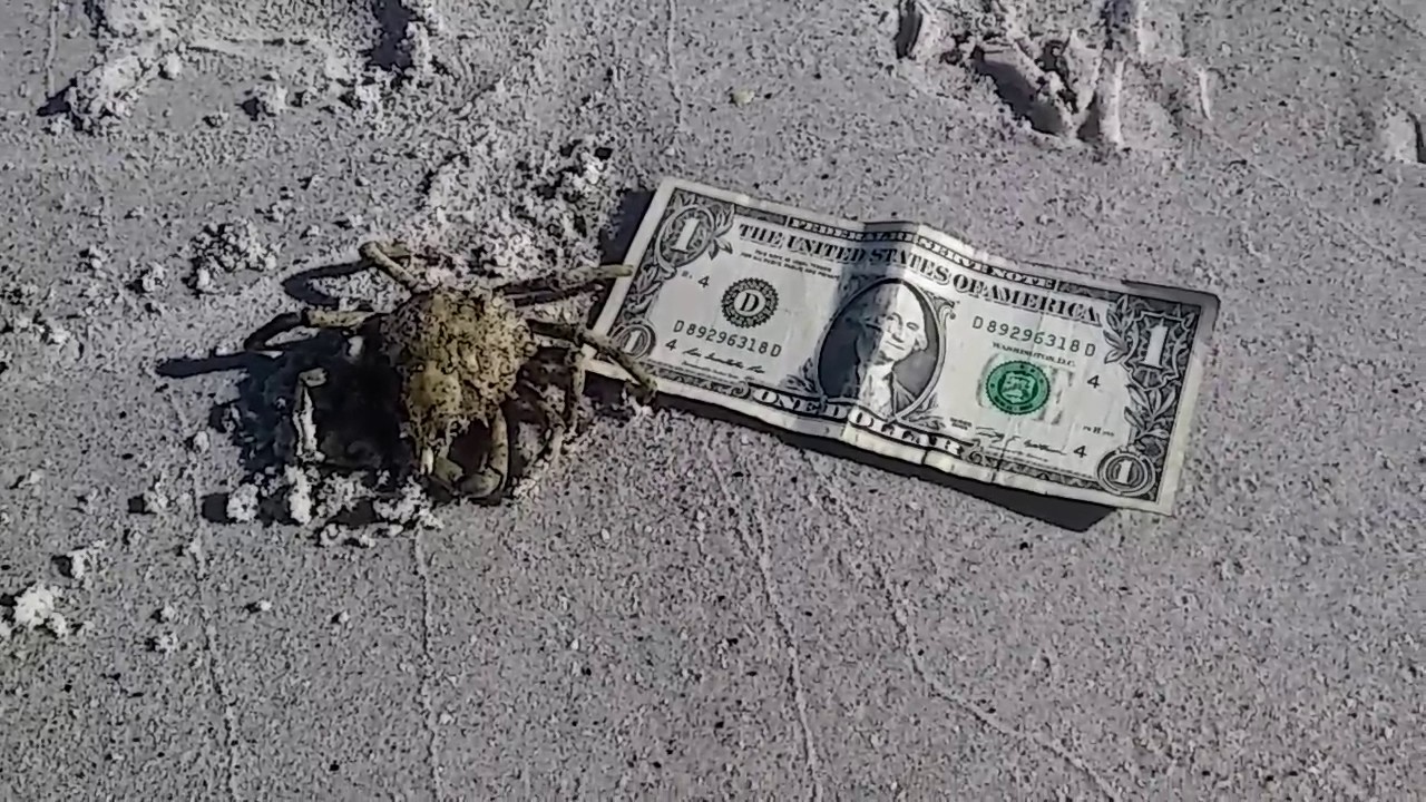 Spongebob Squarepants Mr Krabs Money Money Money - YouTube