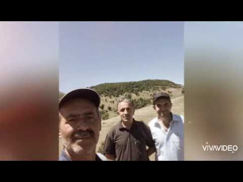 Amasya taşova yukarı baraklı