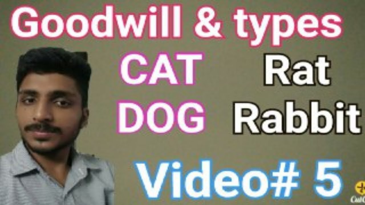 Types Of Goodwill Cat Rat Rabbit Dog Goodwill By Free Ki Pathshala types-of-goodwill-cat-rat-rabbit-dog-goodwill-by-free-ki-pathshala