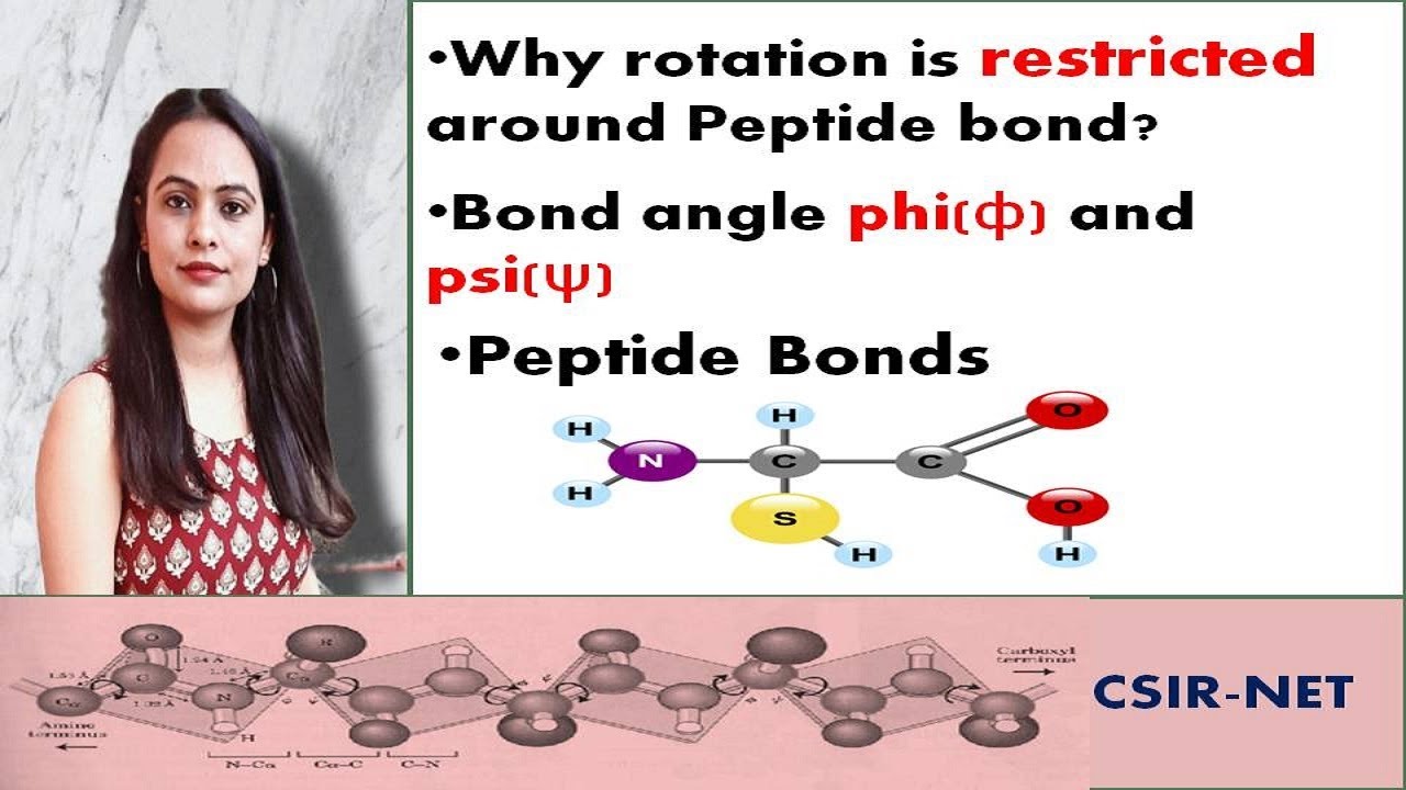 Peptide bond|Rotation around peptide bond|Bond angle phi&psi|L-2|CSIR ...