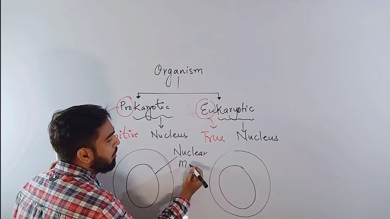 Classification of Plants/ Class 9/ Lecture 2/ Five kingdom ...
