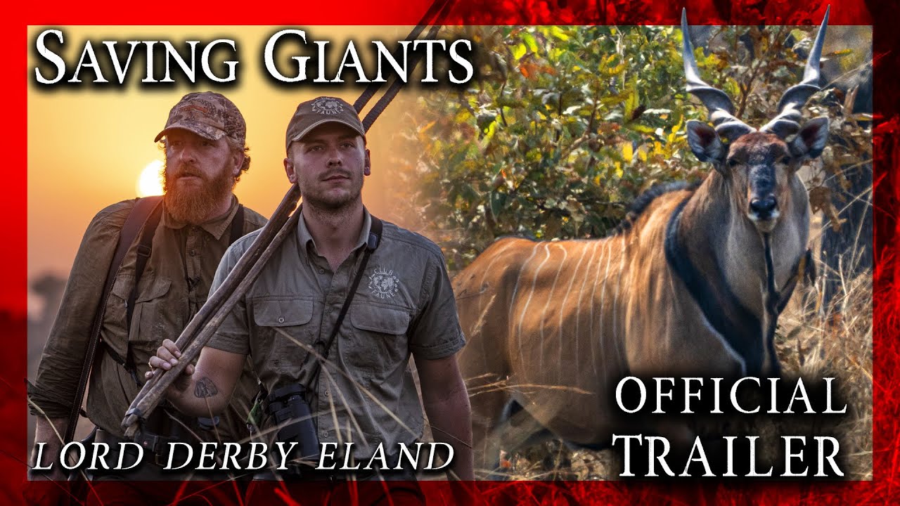 Lord Derby Eland - Saving Giants - Official Trailer - 4K - YouTube