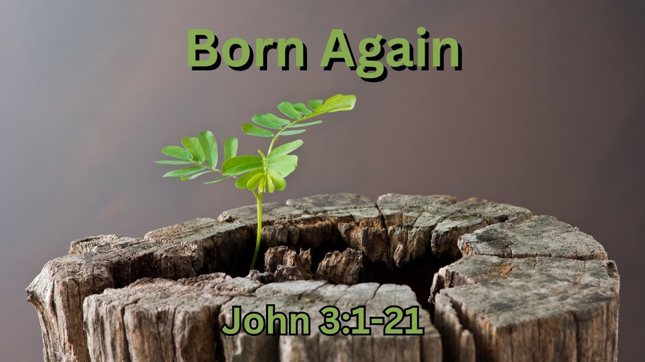 Born Again (Baptism Service November 2024) - YouTube