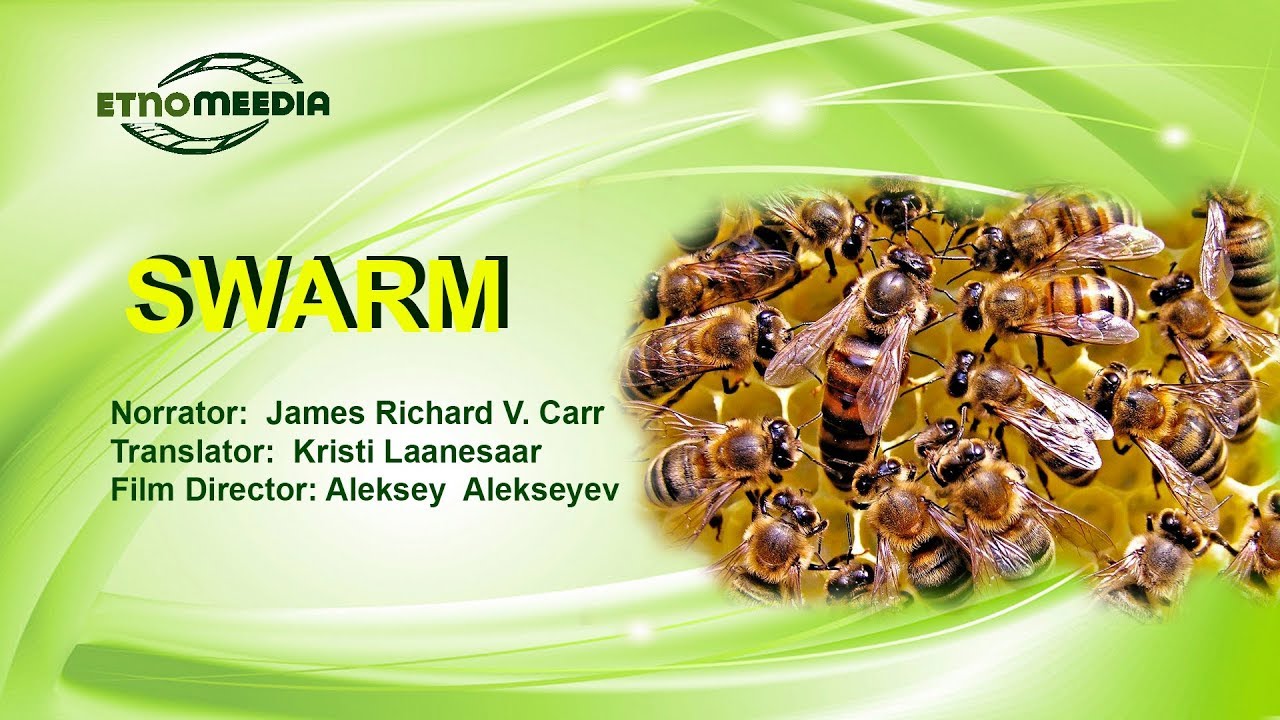 Swarm Meaning