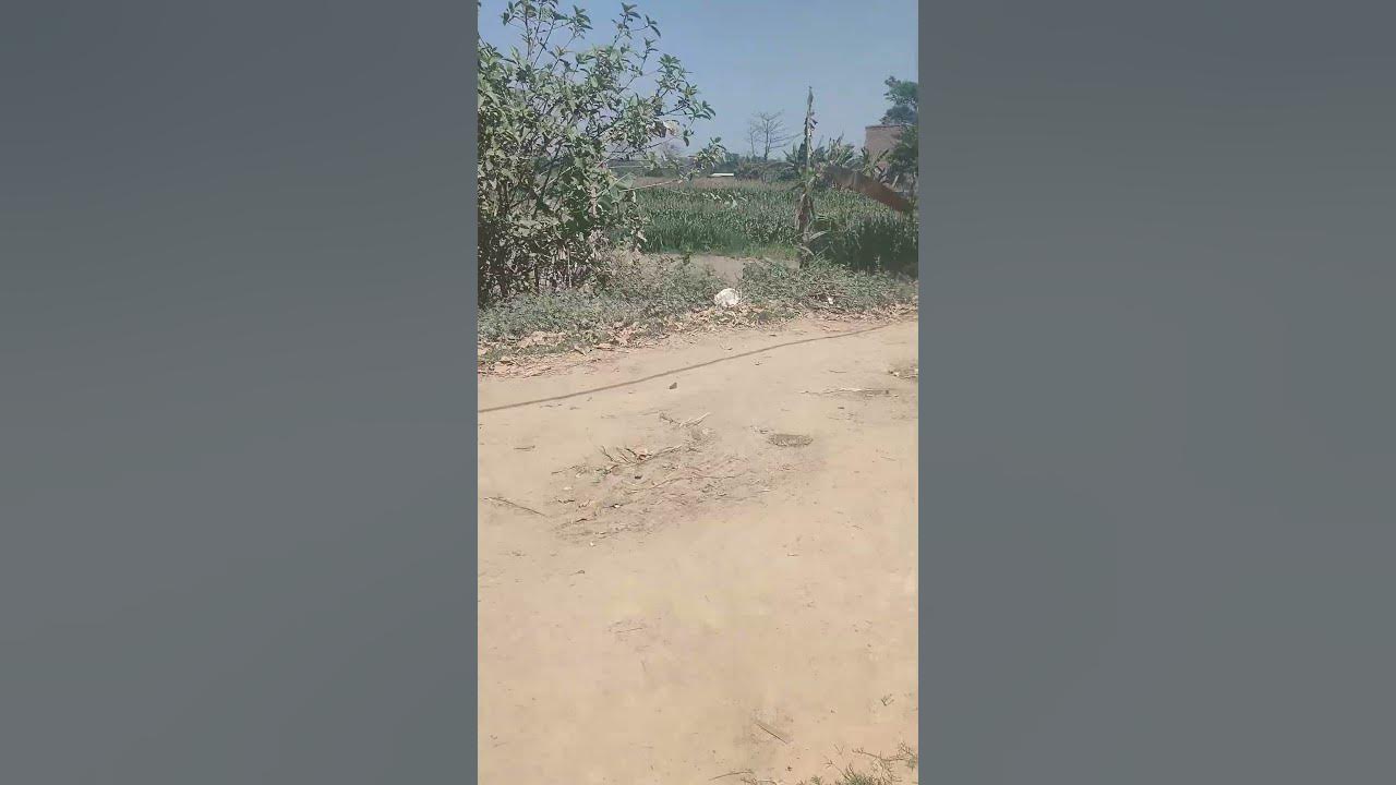 19 March 2025 - YouTube