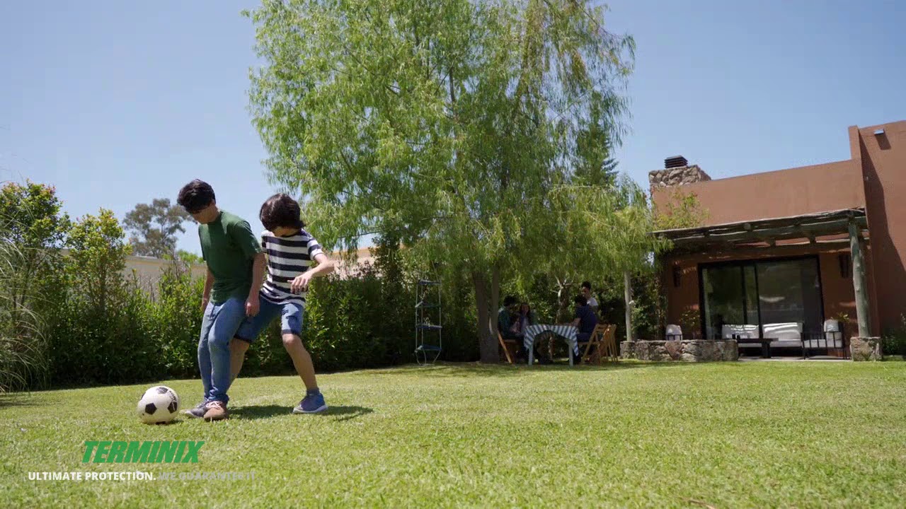 Get Rid of Mosquitoes, Fleas, and Ticks - Terminix Triad - YouTube