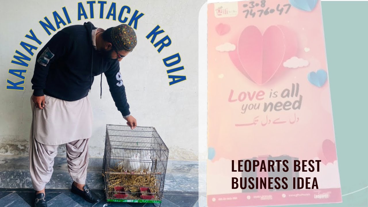 LEOPARTS BEST BUSINESS IDEA / AJ CROW NAI ATTACK KR DIA - YouTube