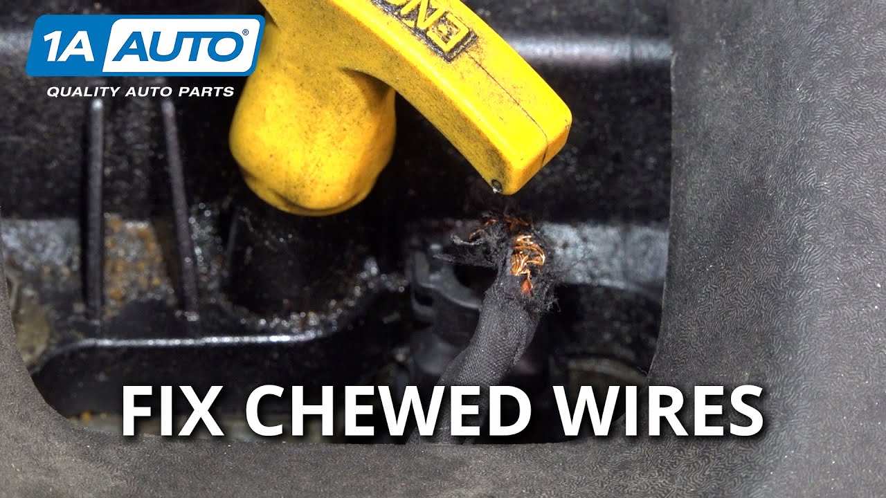 Wires Chewed or Broken in Your Car or Truck? Fix It the Right Way with ...