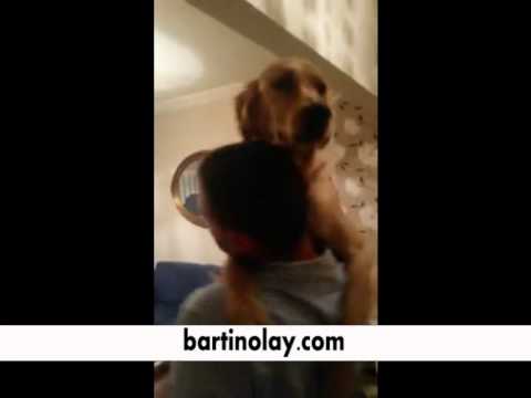 KÖPEĞİN İNANILMAZ SEVGİ GÖSTERİSİ
