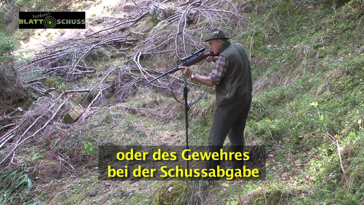 Blattschuss, das Richtige für die Jagd - YouTube
