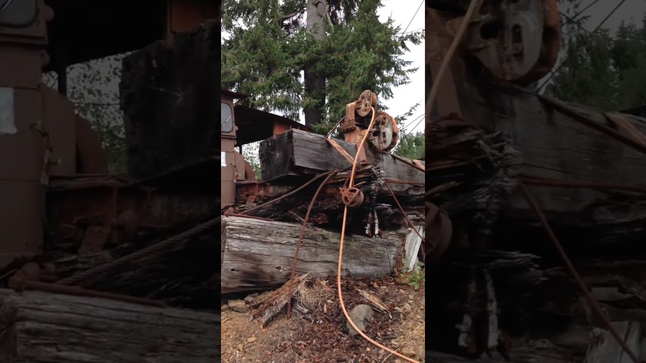 Crown Zellerback, Washington sled mount yarder. - YouTube
