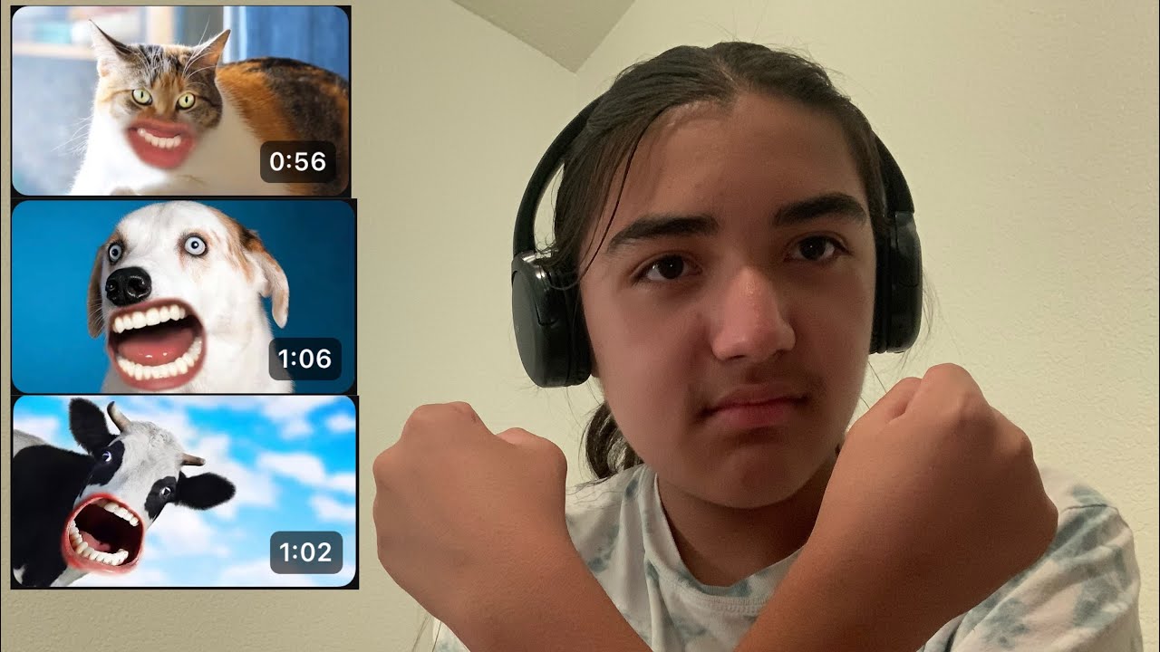 MEOW WOOF and MOO by Markiplier Reaction - YouTube
