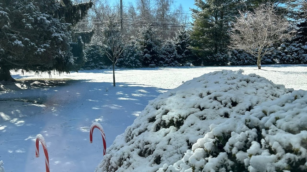 ASMR Walking in the snow + crunchy snow noises - YouTube