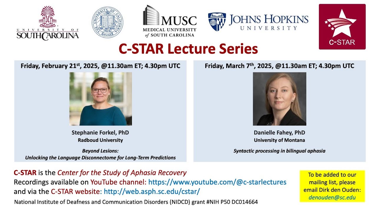 "Beyond Lesions: Unlocking the Language Disconnectome for Long-Term ...