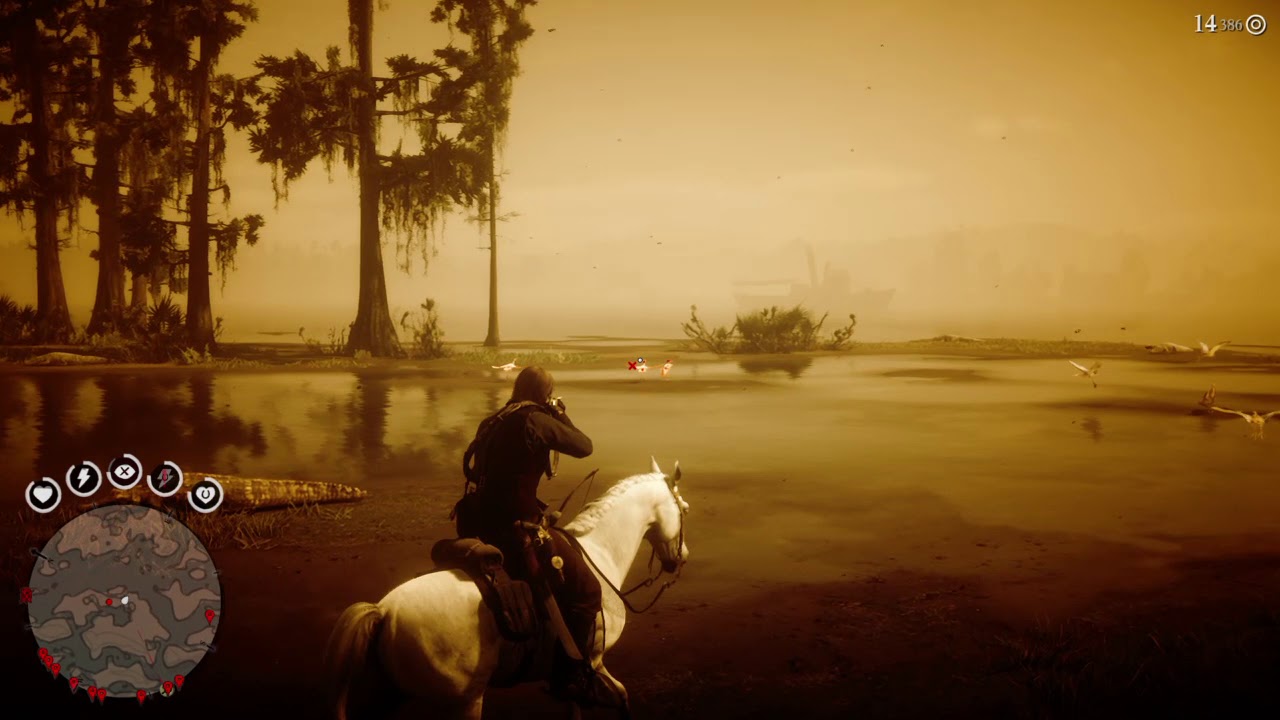 Red Dead Redemption 2 Roseate Spoonbill Possible Location ② - YouTube