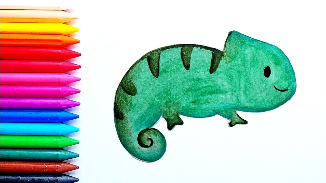 Cute Chameleon Drawing and Coloring/ step by step - YouTube