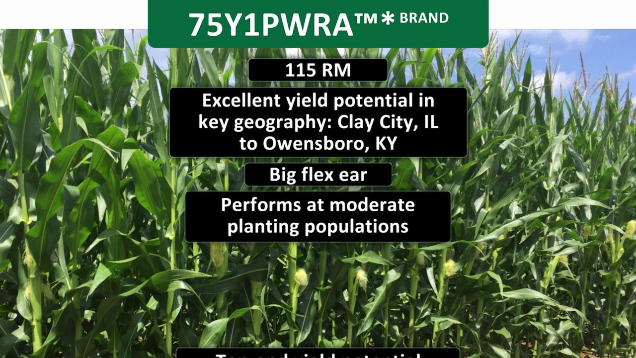 Agronomy For Sustainable Development