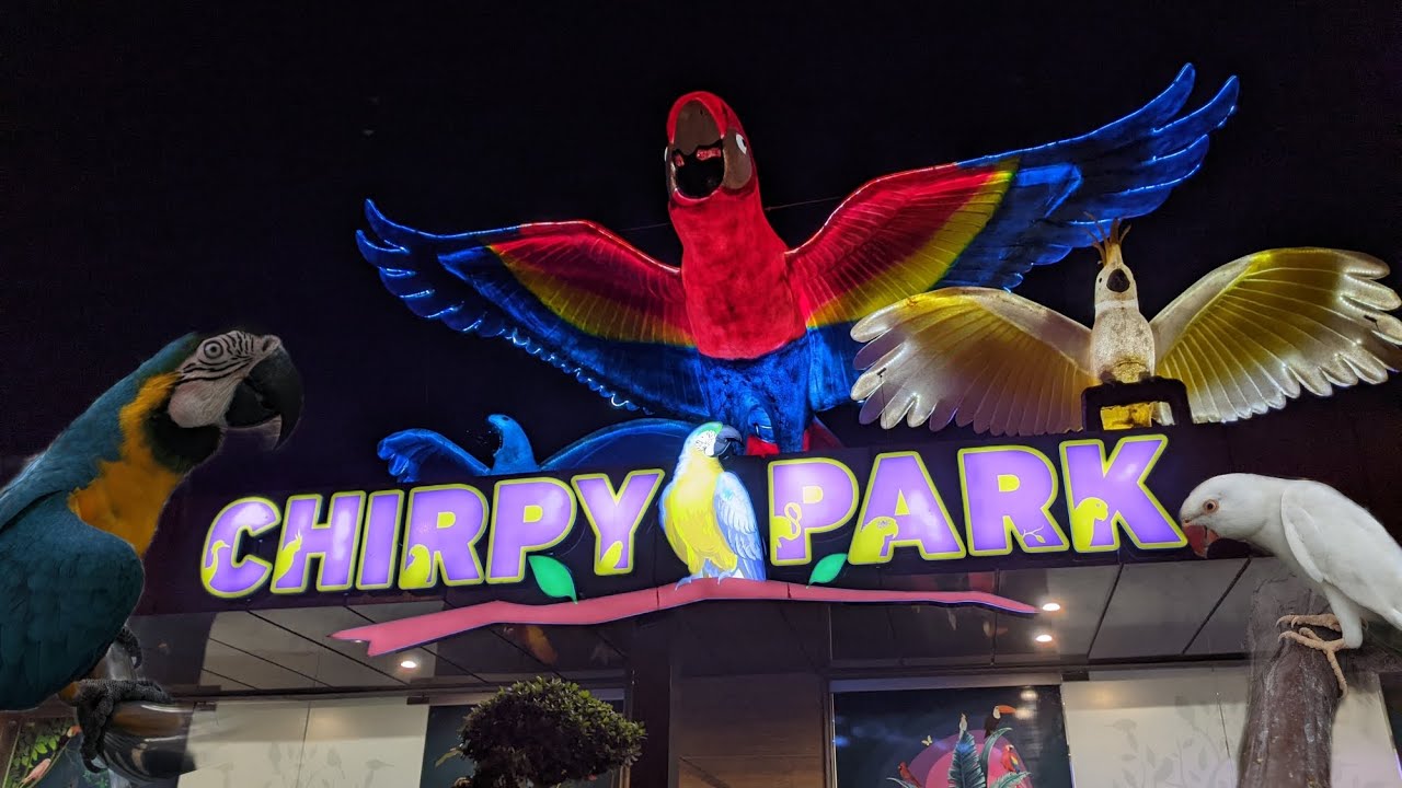 Itny Sare Toote 🦜| Chirpy Park Bahria Town Karachi - YouTube
