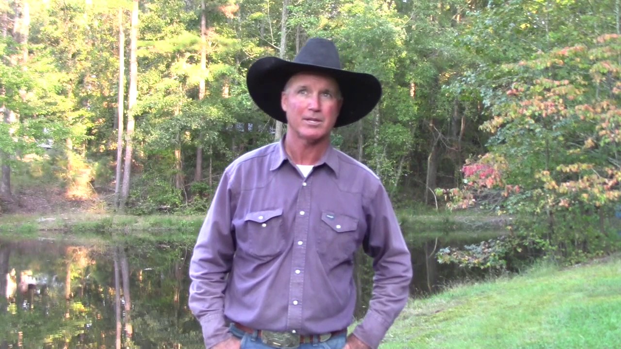 Ask Martin: When Is Your Horse Ready for the Hackamore? - YouTube