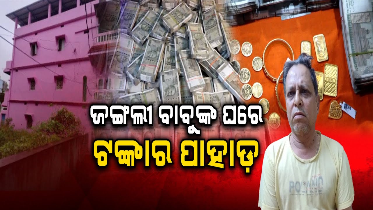 🔴Live | ଭିଜିଲାନ୍ସ ଜାଲରେ ରେଞ୍ଜର | Deputy Forest Ranger | Vigilance Raid ...