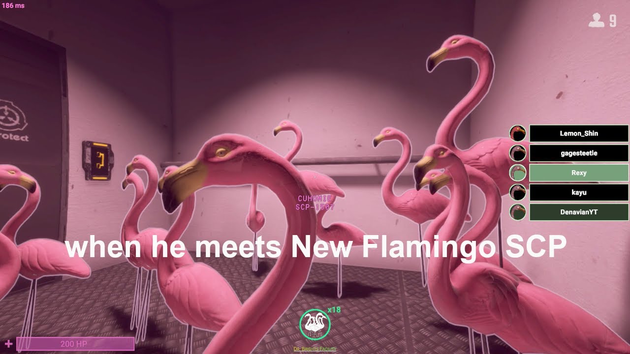 When He Meets NEW Flamingo SCP - YouTube