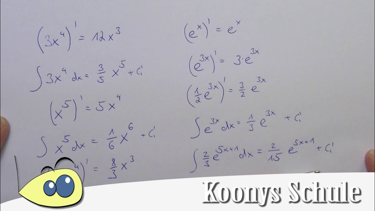 Unterschiede Integrieren und Ableiten, Kurvendiskussionen, e-Funktionen ...