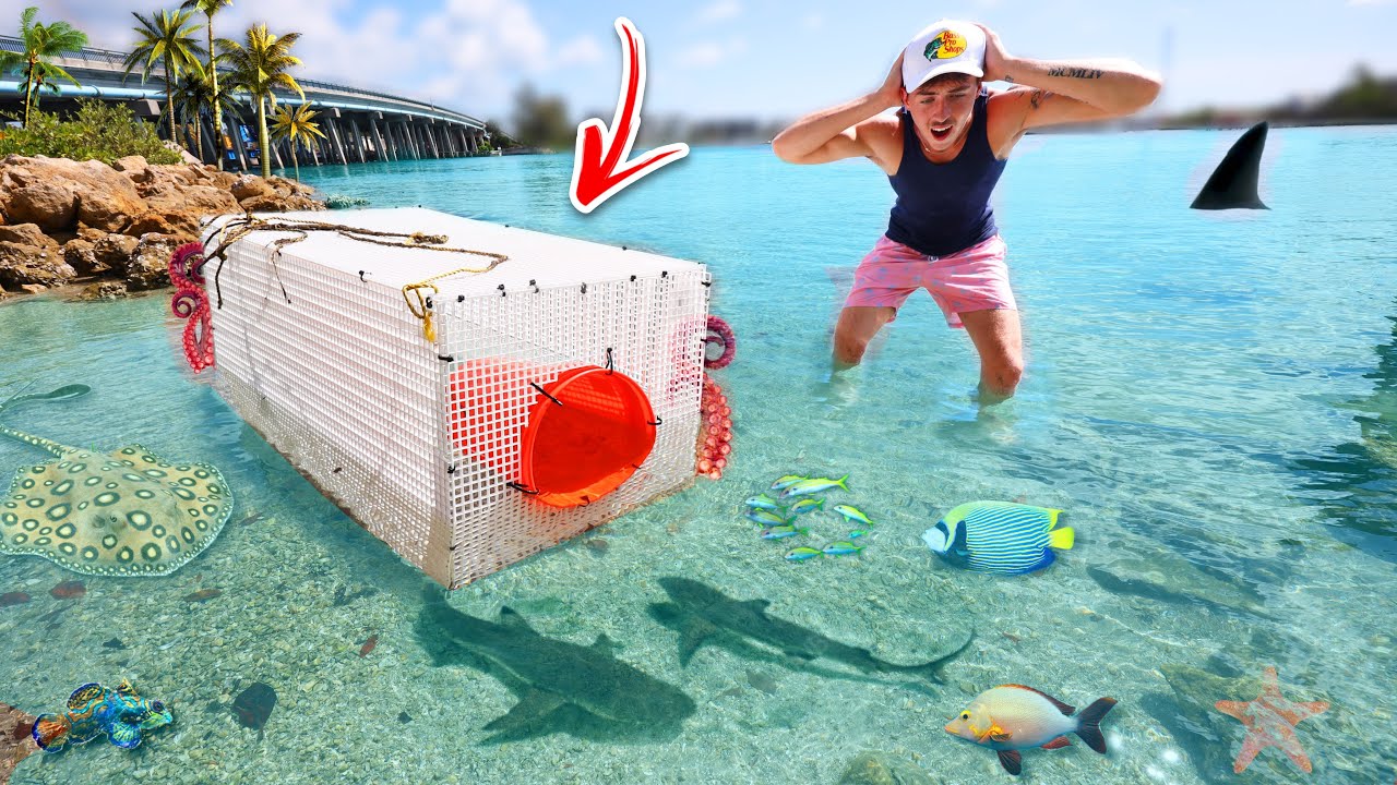 We Built a MASSIVE SALTWATER FISH TRAP!!! (INSANE) - YouTube