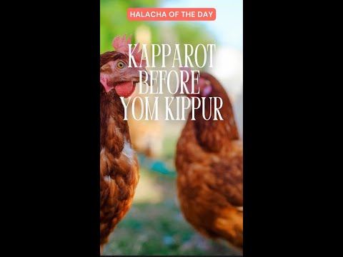 Kapparot before Yom Kippur - YouTube