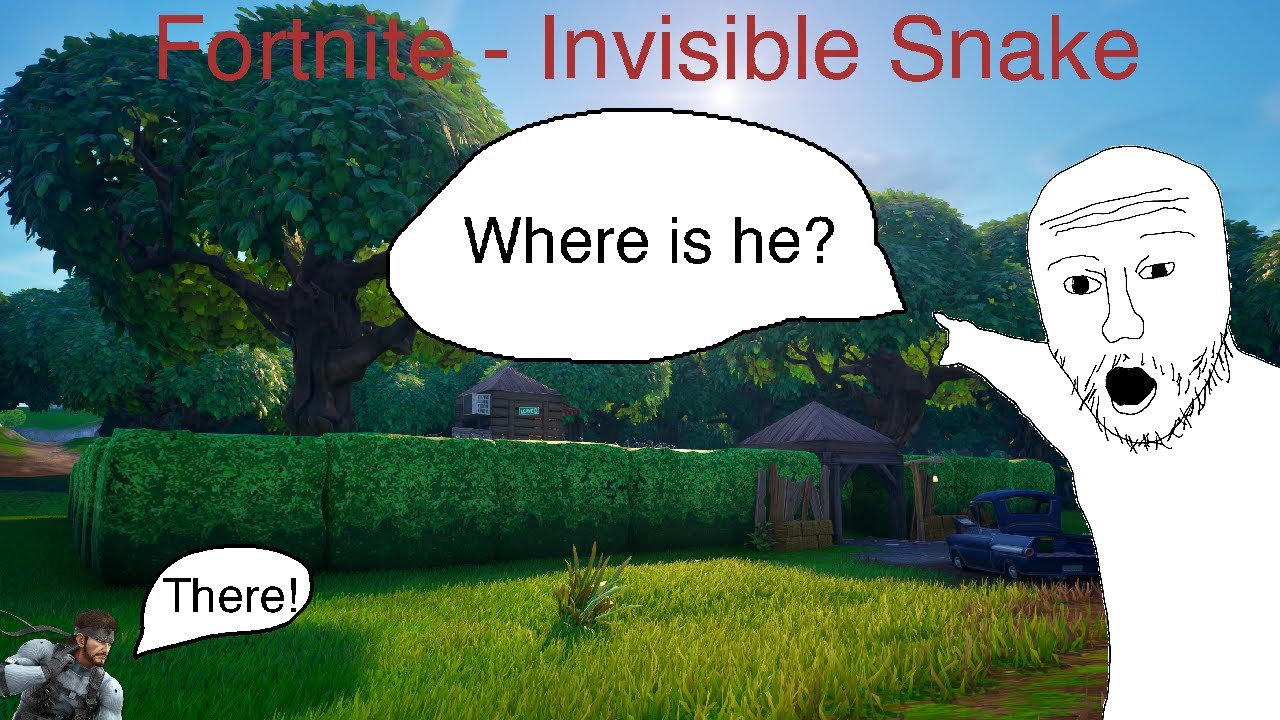 Fortnite - Invisible Snake - YouTube