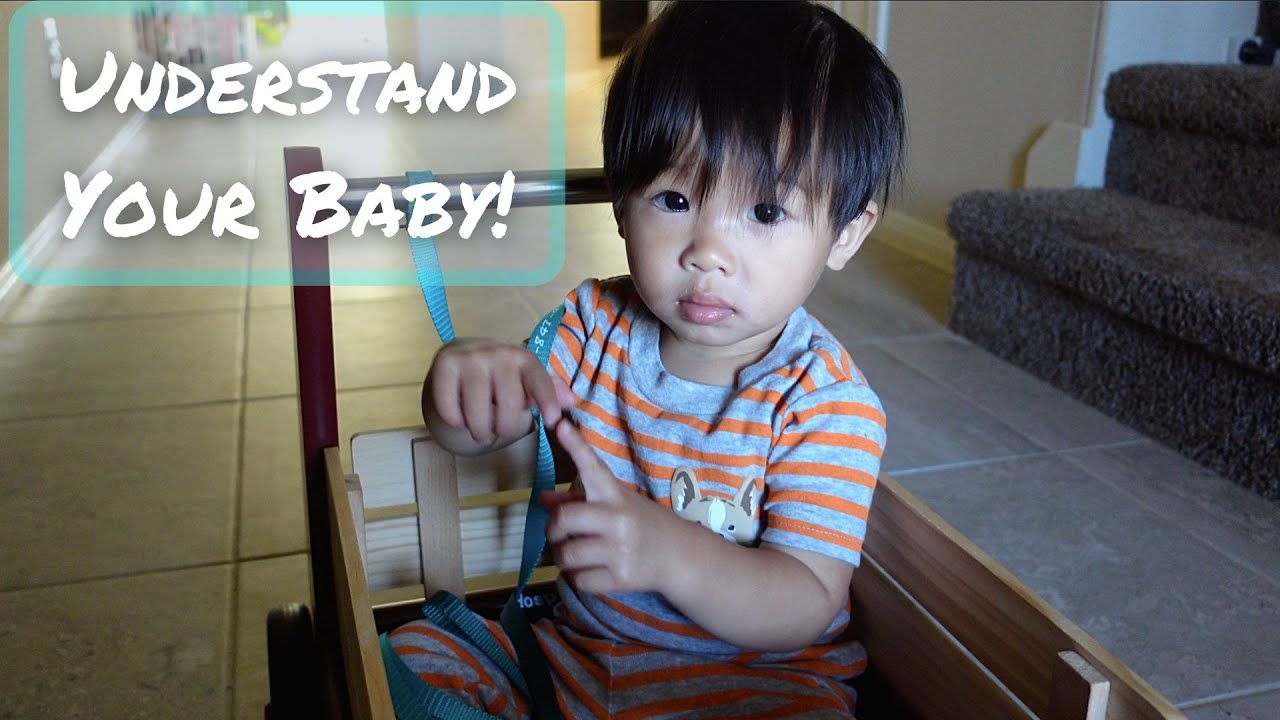 Why You Should Teach Your Baby Sign Language YouTube why-you-should-teach-your-baby-sign-language-youtube