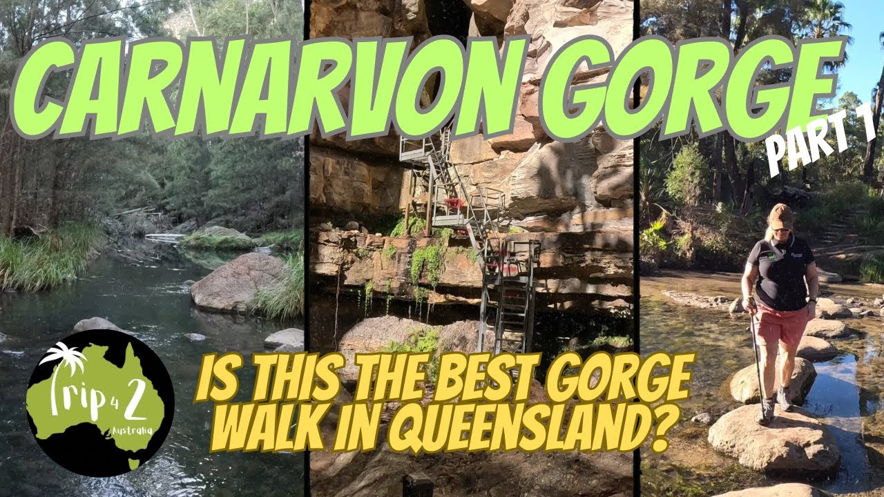 Carnarvon Gorge Part 1 Is this the best gorge walk in Queensland? | we ...