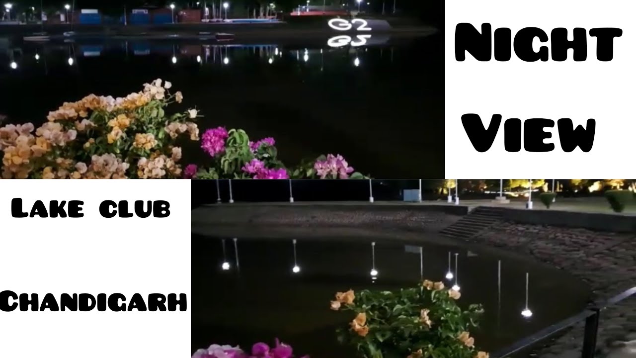 Chandigarh lake club night view ⛲️ 💡 🌙 || #lake #sukhnalakechandigarh # ...