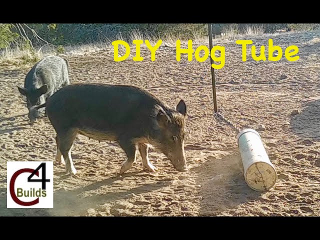 Youtube Wild Hog Feeders Shoot More Hogs With Thermal And Night Vision