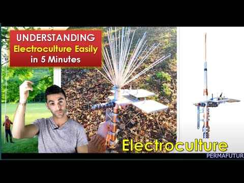 Modern Electroculture: Combining Electromagnetic Energy and Vibratory ...