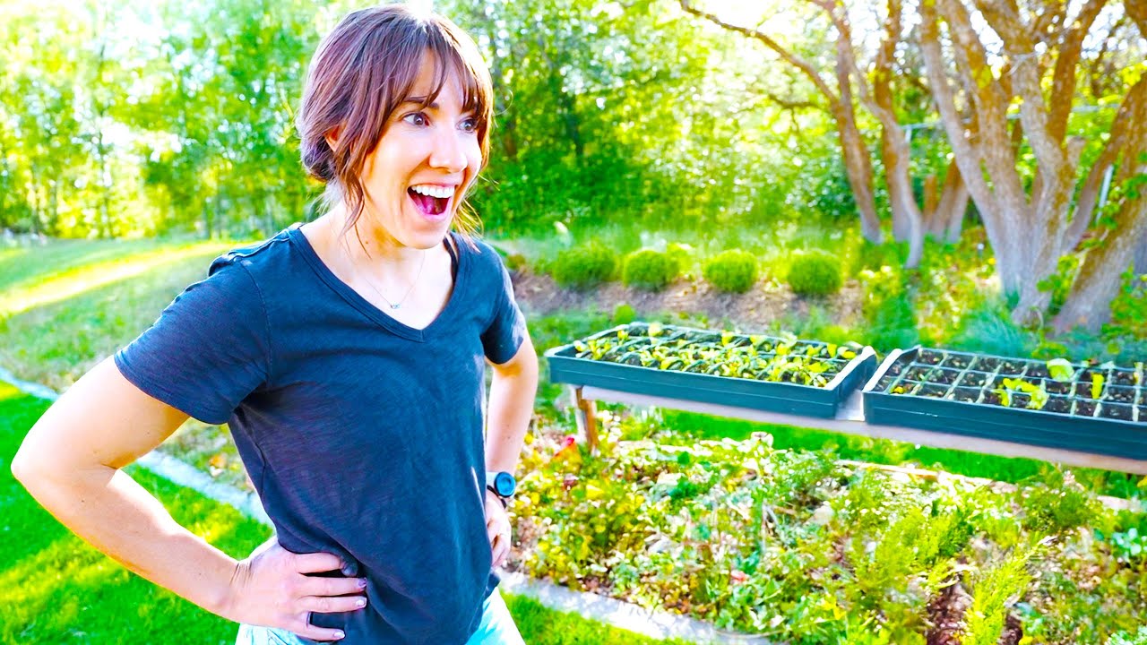 Our Backyard Transformation Continues – But Will Jess’s Plants Make It ...
