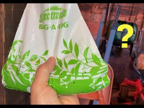 Bag A Bug - Japanese Beetle Trap | Does It Work? #junebug #beetle # ...