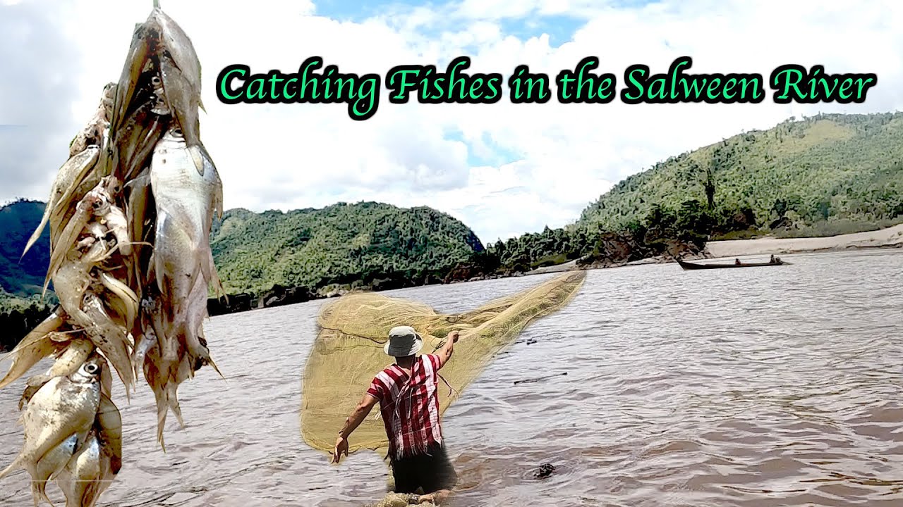 Karen Home Cooking | Catching fishes in the Salween River - YouTube